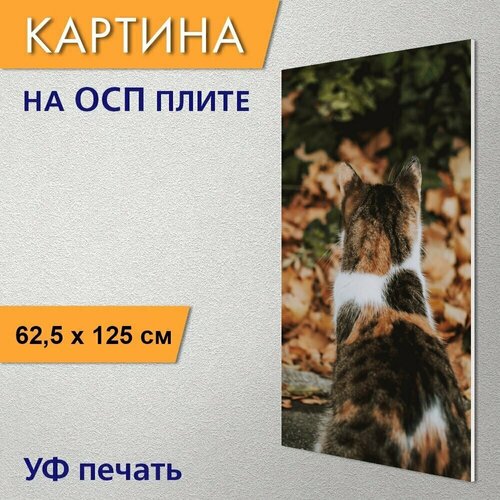 Вертикальная картина на ОСП "Кот, осенний, осеннее настроение" 62x125 см. для интерьериа