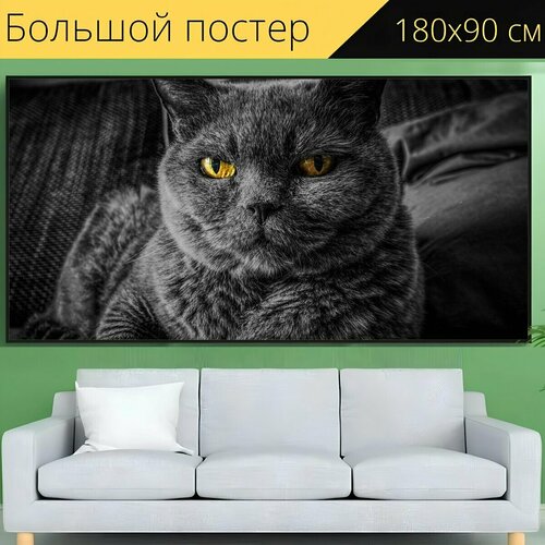 Большой постер "Кошка, кошачьи глаза, серый кот" 180 x 90 см. для интерьера