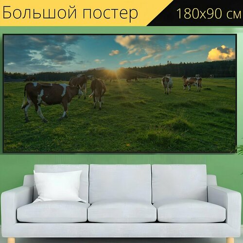 Большой постер "Коровы, пастбище, заход солнца" 180 x 90 см. для интерьера