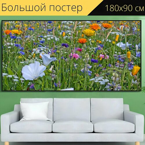 Большой постер "Цветок, полевые цветы, пчела луг" 180 x 90 см. для интерьера