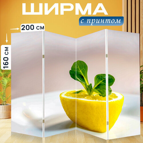 Ширма перегородка с принтом "Лимон, лайм, цитрусовые" на холсте - 200x160 см. для зонирования, раскладная