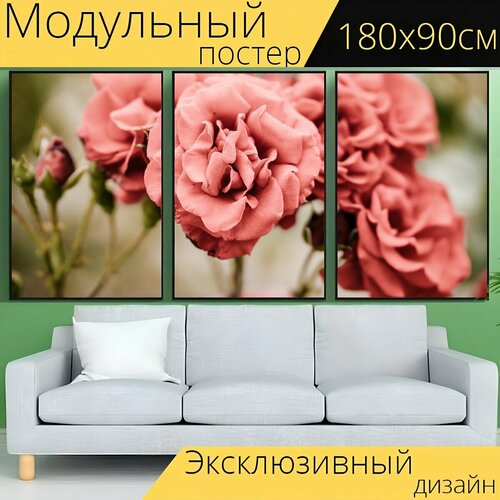Модульный постер "Розы, цвести, цветок" 180 x 90 см. для интерьера