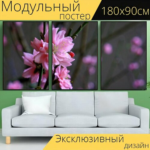 Модульный постер "Персиковый цвет, персик, весенние цветы" 180 x 90 см. для интерьера