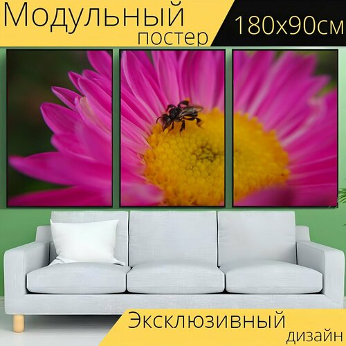 Модульный постер "Пчела, насекомое, цветок" 180 x 90 см. для интерьера