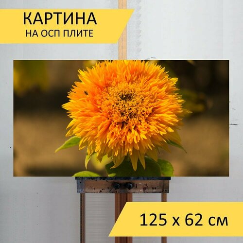 Картина на ОСП 125х62 см. "Подсолнечник, цветок, апельсин" горизонтальная, для интерьера, с креплениями