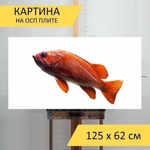 Картина на ОСП 125х62 см. "Рыбы, золотая рыбка, аквариум" горизонтальная, для интерьера, с креплениями