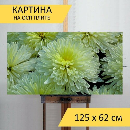 Картина на ОСП 125х62 см. "Хризантемы, цветы, осень" горизонтальная, для интерьера, с креплениями