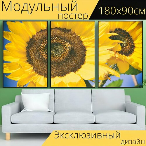 Модульный постер "Пчелы, подсолнух, желтый" 180 x 90 см. для интерьера