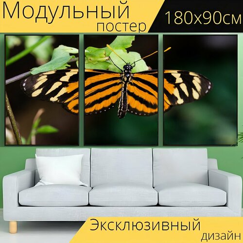 Модульный постер "Великолепные бабочки страсти, филаэтрия дидо, эдельфальтер" 180 x 90 см. для интерьера