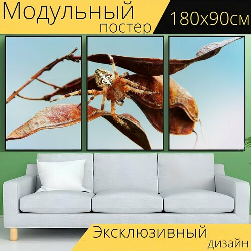 Модульный постер "Крестоносец садовый, девушки, насекомое" 180 x 90 см. для интерьера
