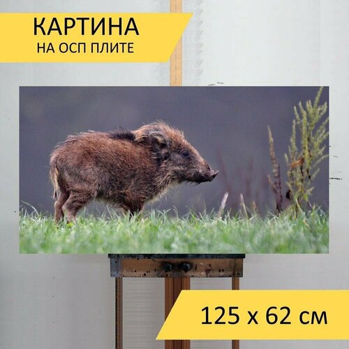 Картина на ОСП 125х62 см. "Кабан, дикие, млекопитающее" горизонтальная, для интерьера, с креплениями