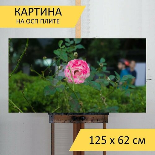 Картина на ОСП 125х62 см. "Роза, цветы, сад" горизонтальная, для интерьера, с креплениями