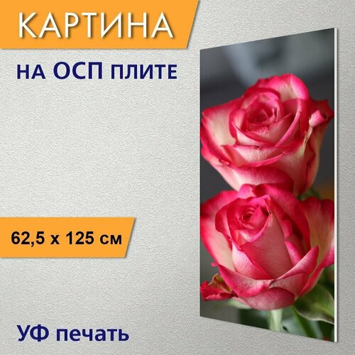 Вертикальная картина на ОСП "Цветы, роза, розовый" 62x125 см. для интерьериа