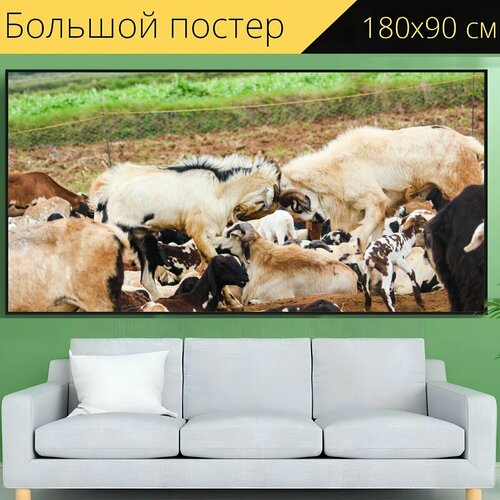 Большой постер "Козы, овец, ферма" 180 x 90 см. для интерьера