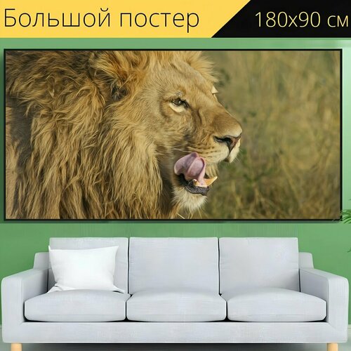 Большой постер "Лев, хищник, кошачий" 180 x 90 см. для интерьера