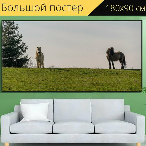 Большой постер "Шетландские пони, животное, лошадь" 180 x 90 см. для интерьера