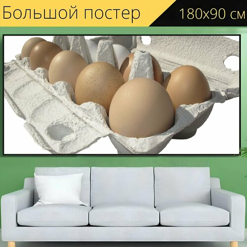 Большой постер "Яйца, куриное яйцо, коробка для яиц" 180 x 90 см. для интерьера