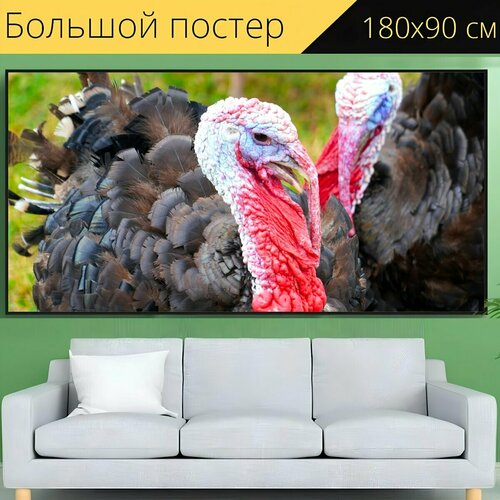 Большой постер "Турция, птица, животное" 180 x 90 см. для интерьера