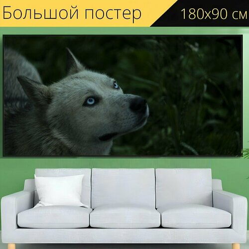 Большой постер "Собака, дружба, волк" 180 x 90 см. для интерьера