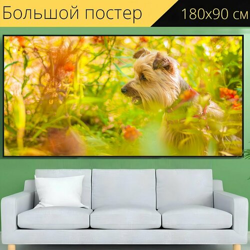 Большой постер "Животное, собака, домашний питомец" 180 x 90 см. для интерьера