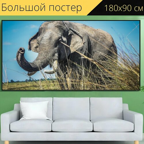 Большой постер "Слон, животное, азия" 180 x 90 см. для интерьера