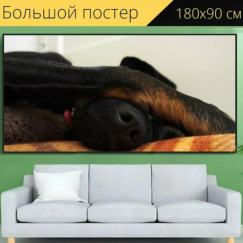 Большой постер "Собака, сонный, сон" 180 x 90 см. для интерьера