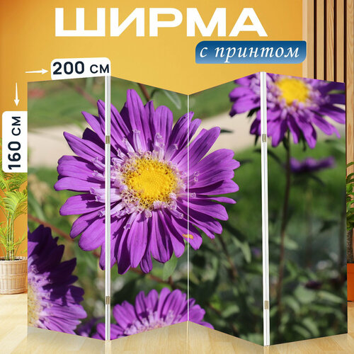 Ширма перегородка с принтом "Цветы, растения, фиолетовый цвет" на холсте - 200x160 см. для зонирования, раскладная