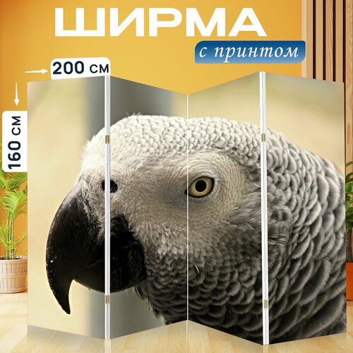 Ширма перегородка с принтом "Попугай, африканский серый попугай, тропический" на холсте - 200x160 см. для зонирования, раскладная