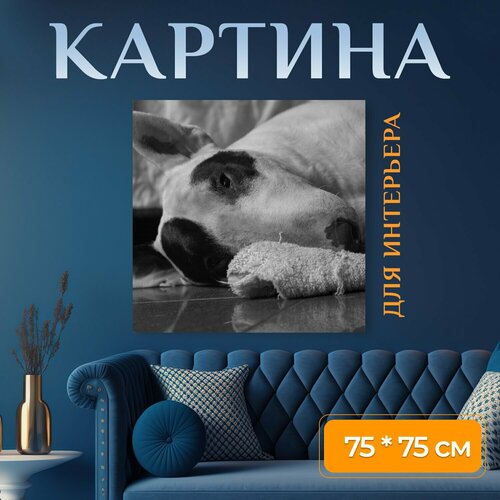 Картина на холсте "Бультерьер, собака, черный и белый" на подрамнике 75х75 см. для интерьера