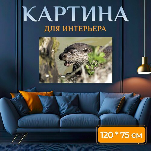 Картина на холсте "Выдра, дикая природа, портрет" на подрамнике 120х75 см. для интерьера