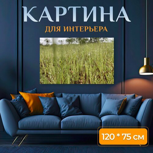 Картина на холсте "Трава, капельки воды, роса" на подрамнике 120х75 см. для интерьера
