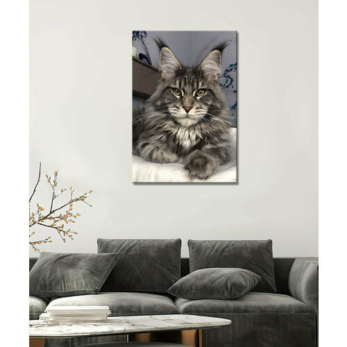 Картина - кошка, мейн-кун, домашняя кошка, ласковая кошка, кот (277) 50х70