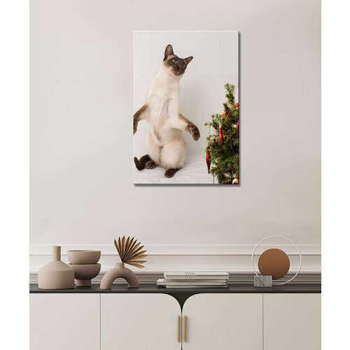 Картина - кошка, сиамская кошка, домашняя кошка, ласковая кошка, короткошерстная кошка, кот (84) 30х40