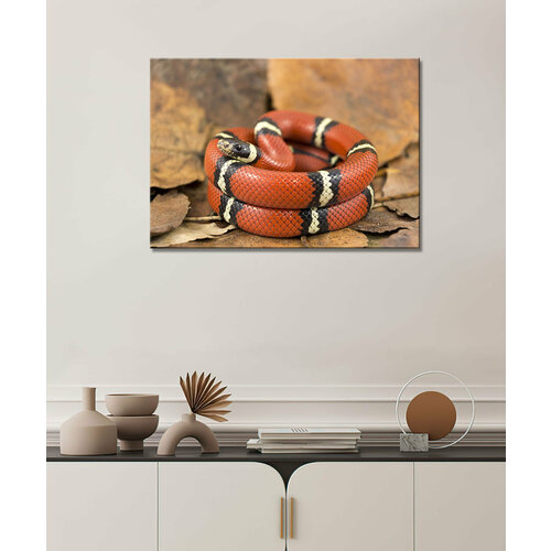 Картина - змея, королевская змея, красная змея, белые линии, змея на камне (41) 50х70