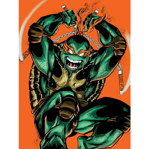 Плакат, постер на холсте Teenage Mutant Ninja Turtles /Черепашки ниндзя: Микеланджело/искусство/арт/абстракция/творчество. Размер 21 х 30 см