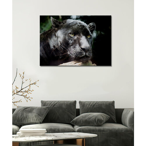 Картина/Ягур/Ягуар в джунглях/Ягуар на дереве/Черный ягуар/ - Черный ягуар (3) 40х60