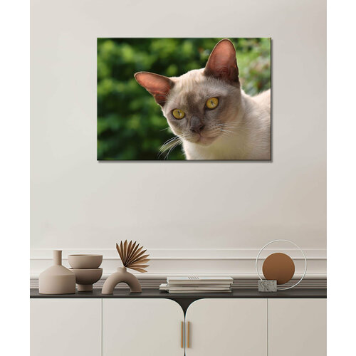Картина - кошка, бурманская кошка, кот, светлая кошка, ласковая кошка (44) 40х60