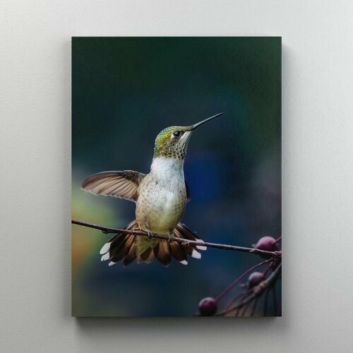 Интерьерная картина на холсте "Птицы - рубиновогорлый колибри" размер 22x30 см