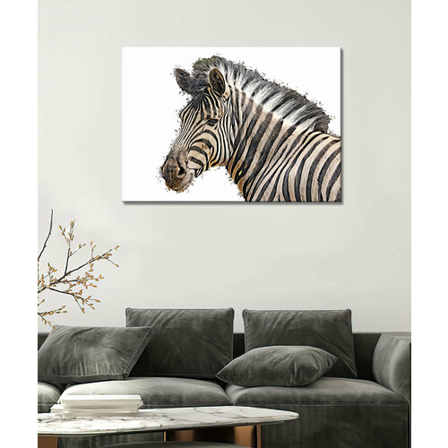 Картина - Зебра, полосатая зебра, красивая зебра, глаза зебры (31) 40х60