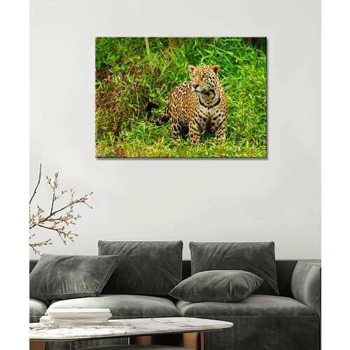 Картина/Ягур/Ягуар в джунглях/Ягуар на дереве/Черный ягуар/ - Ягуар (22) 50х70