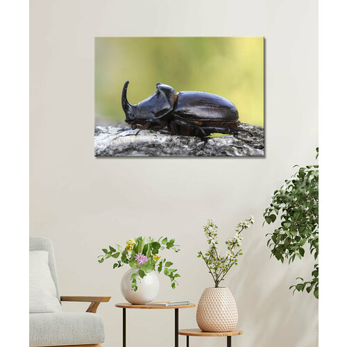 Картина - жук-носорог, жук, массивный жук, крупный жук, природа, макро (8) 50х70
