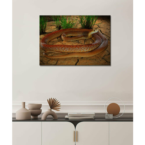 Картина - змея, тайпан, жестокая змея, ядовитая змея, большая змея, кожа змеи (1) 40х60