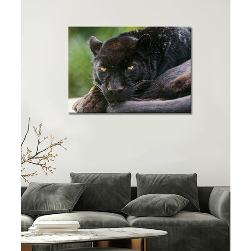Картина/Ягур/Ягуар в джунглях/Ягуар на дереве/Черный ягуар/ - Черный ягуар (6) 30х40
