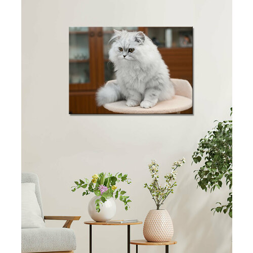 Картина - кошка, персидская кошка, домашняя кошка, ласковая кошка, кот (306) 30х40