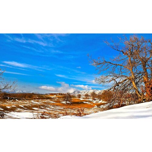 Картина на холсте 60x110 LinxOne "Горы весна небо деревья снег" интерьерная для дома / на стену / на кухню / с подрамником