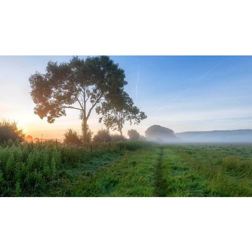 Картина на холсте 60x110 LinxOne "Туман поле утро пейзаж" интерьерная для дома / на стену / на кухню / с подрамником