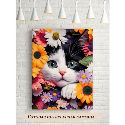 Картины для интерьера 40х60 Черно-белый котенок в цветах