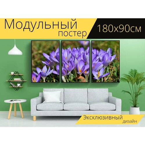 Модульный постер "Крокус, ирис, цветы" 180 x 90 см. для интерьера