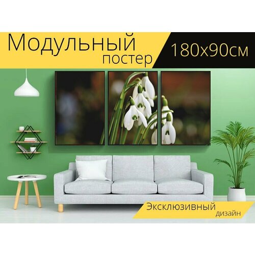 Модульный постер "Подснежник, снег белл, весенние колокола" 180 x 90 см. для интерьера