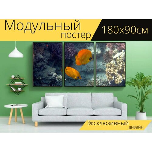 Модульный постер "Рыбы, красное море, кораллы" 180 x 90 см. для интерьера